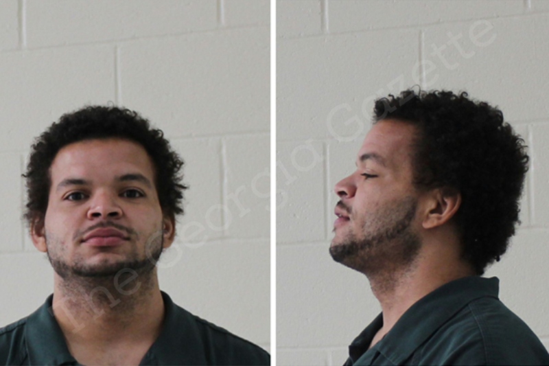 Andrew Gregory — Houston County Jail Bookings