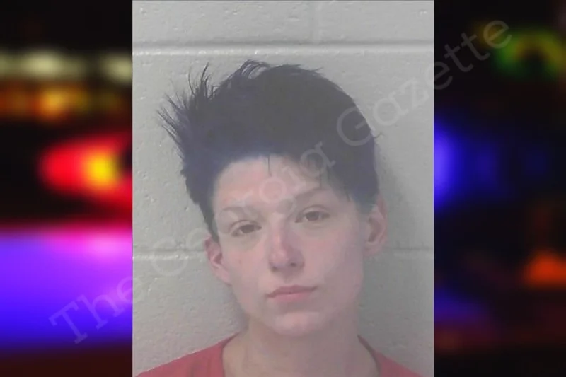 Cheyenne Harold — Newton County Jail Bookings