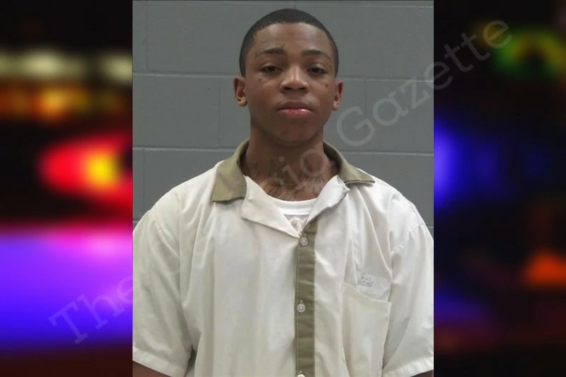 Derrius Holmes — Baldwin County Jail Bookings