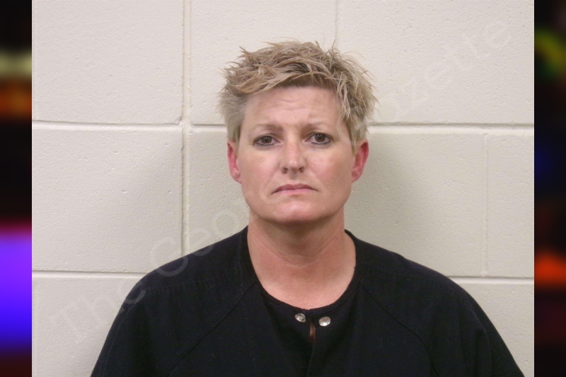 Sarah Hancock — Bulloch County Jail Bookings