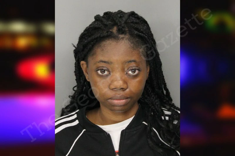 Elizabeth Jefferson — Cobb County Jail Bookings