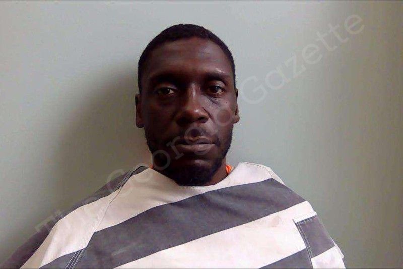 Albert Johnson — Evans County Jail Bookings