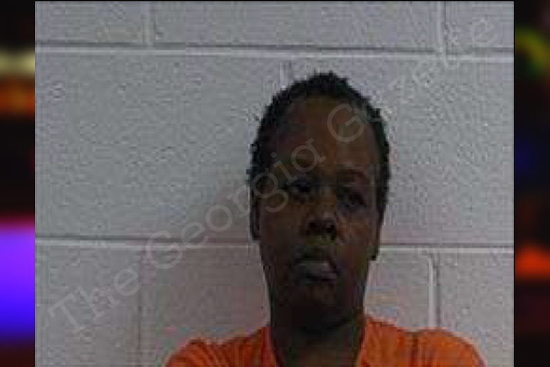 Erica Johnson — Polk County Jail Bookings