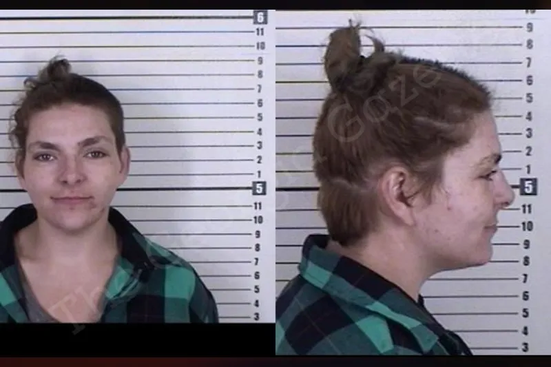 Cheyenne Kelley — Camden County Jail Bookings Cheyenne Kelley — Camden County Jail Bookings