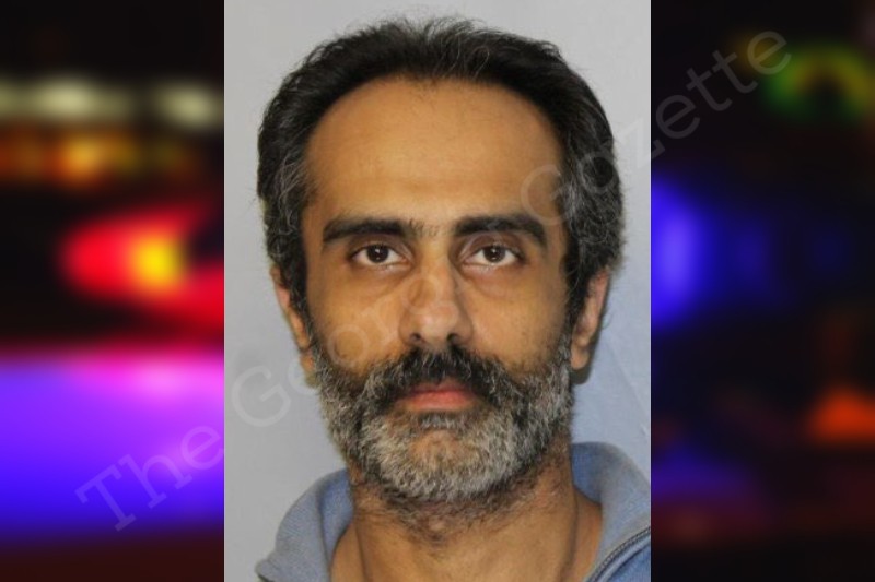 Shaneel Lakhani — Hall County Jail Bookings