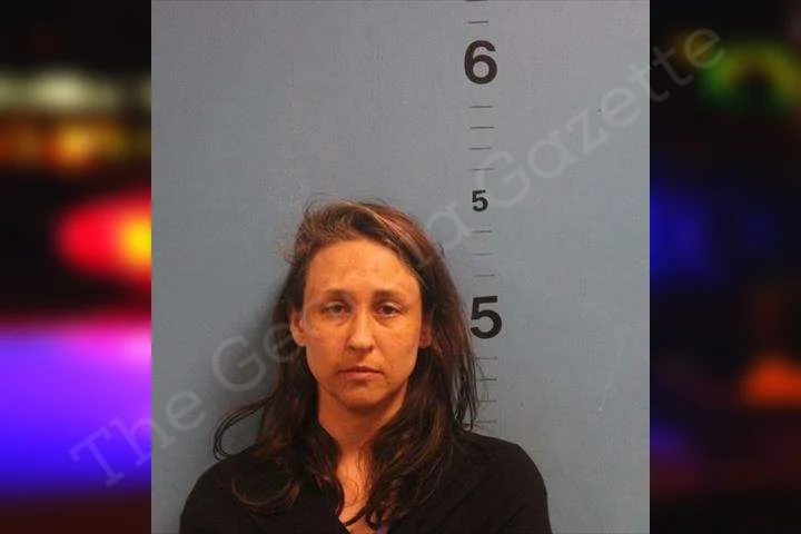 Rhonda Larimore — Monroe County Jail Bookings