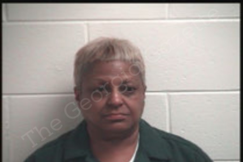 Lisa Lee — Henry County Jail Bookings