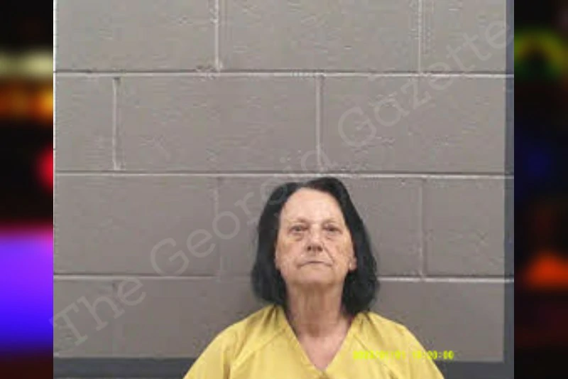 Linda Jones — Banks County Jail Bookings