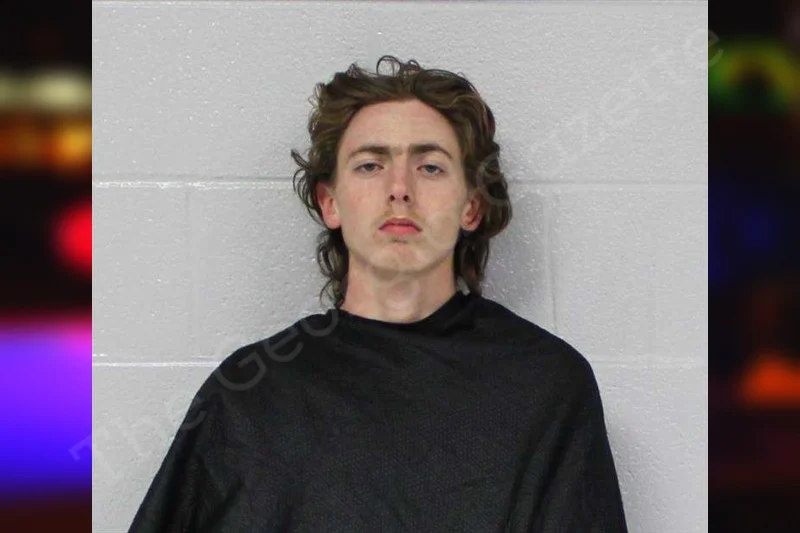 Micheal Ludwick — Carroll County Jail Bookings