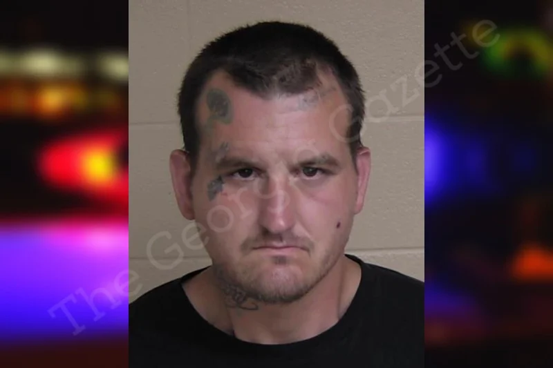 Max Lawson — Walker County Jail Bookings