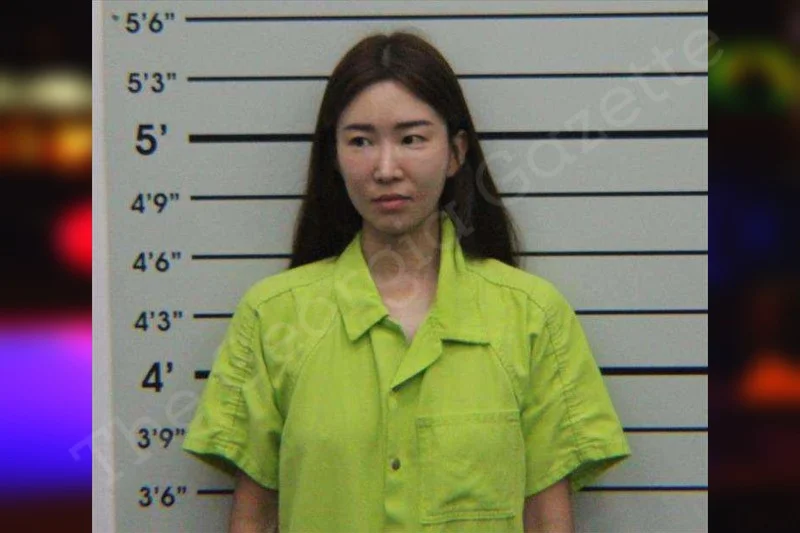 Jayun Lee — Turner County Jail Bookings