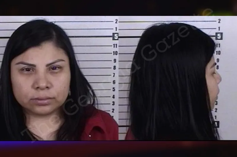 Elizabeth Lunderman McGee — Camden County Jail Bookings