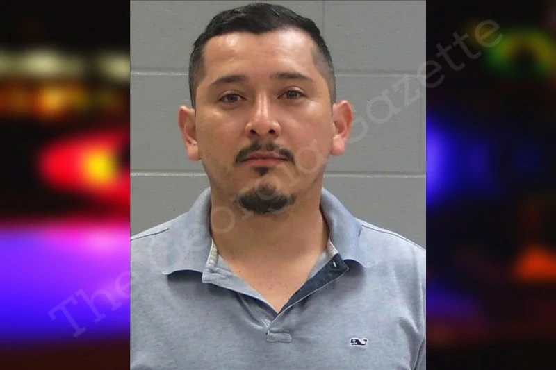 Ayala Marvin Adalid — Baldwin County Jail Bookings