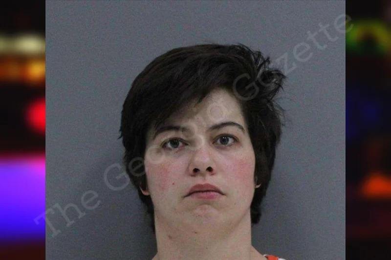 Danielle Mathis — Rabun County Jail Bookings