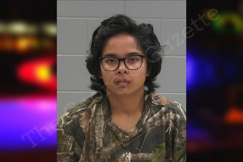 Lindsey Mathis — Baldwin County Jail Bookings