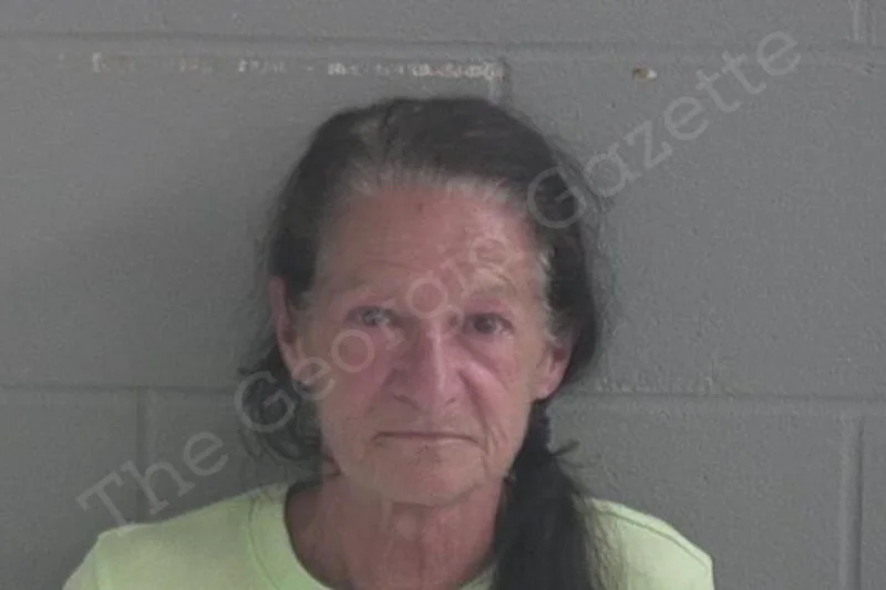 Nancy McGee — Brantley County Jail Bookings