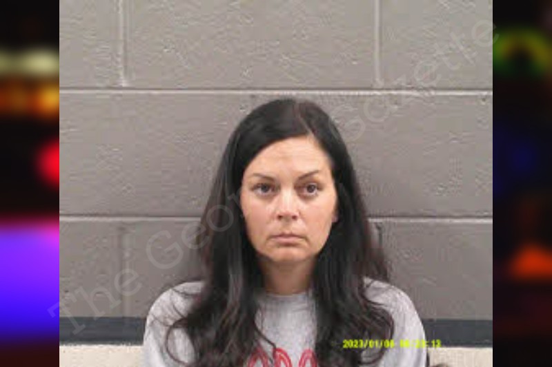 Michelle Guinn — Banks County Jail Bookings