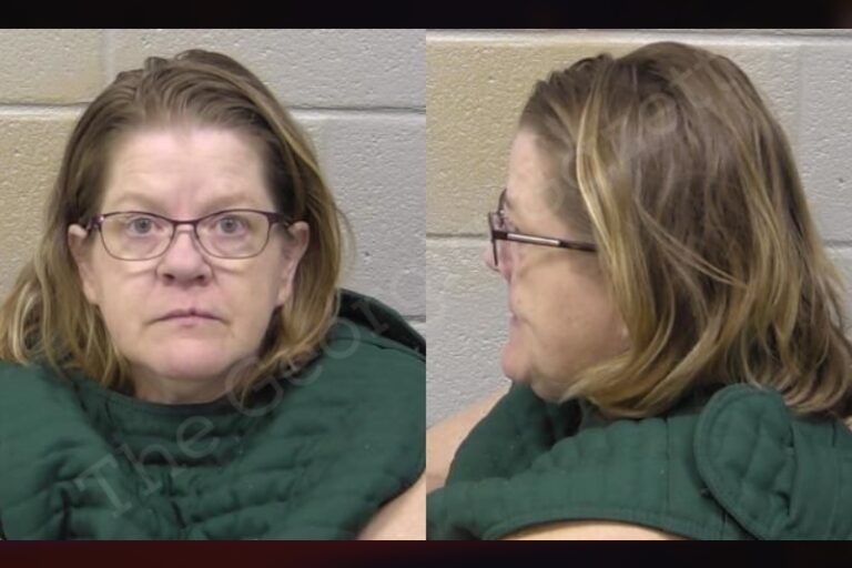 Carolyn Martin — Paulding County Jail Bookings