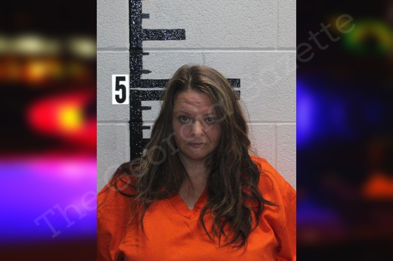 Ashley Morrison — Murray County Jail Bookings
