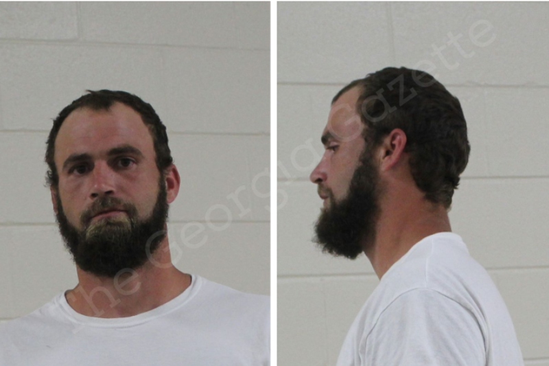 Christopher Mullis — Houston County Jail Bookings