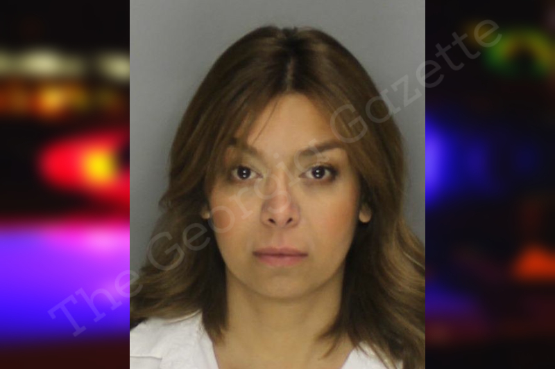 Mahsa Naseri — Cobb County Jail Bookings