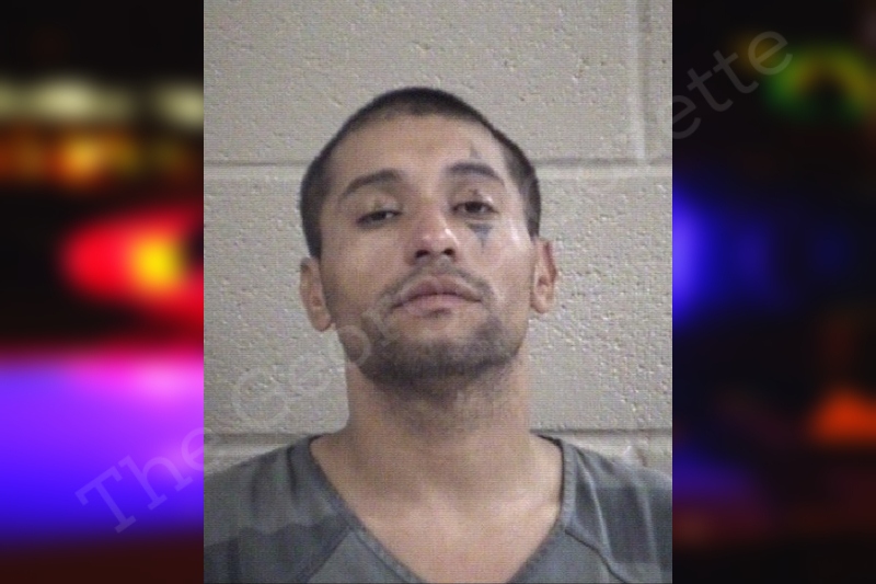 Whitfield County Jail Bookings – The Georgia Gazette