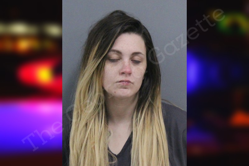 Brandi Pritchett — Catoosa County Jail Bookings