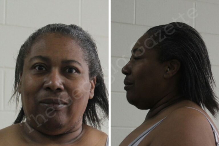 Houston County Jail Bookings – The Georgia Gazette