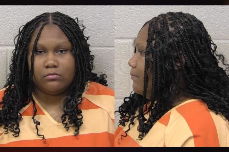 Nicole Pittman — Paulding County Jail Bookings