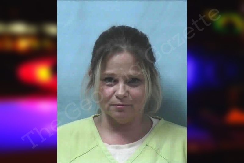 Heather Pollock — Seminole County Jail Bookings