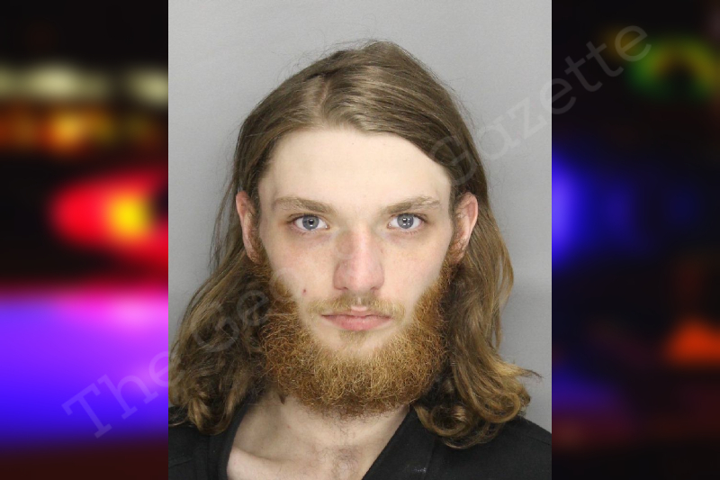 Marc Rushing — Cobb County Jail Bookings