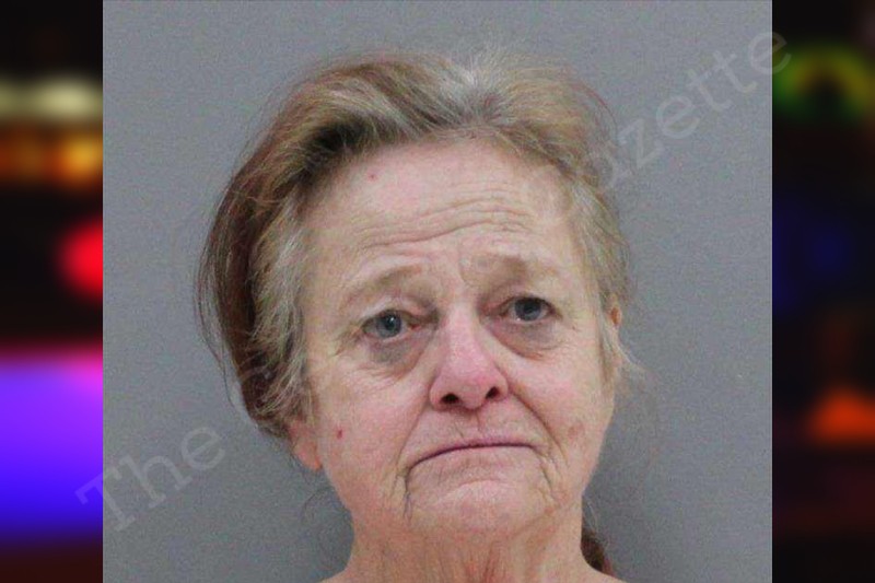 Tina Russell — Rabun County Jail Bookings