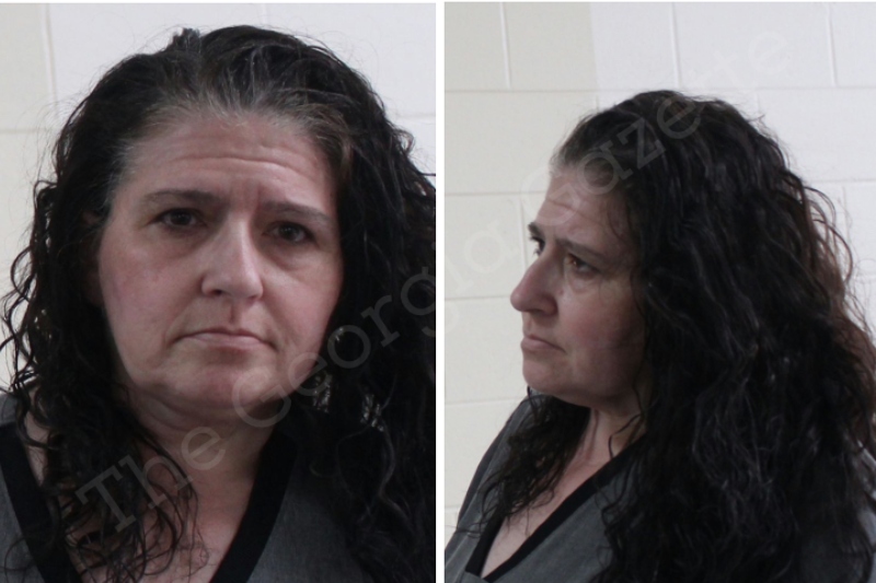 Cheryl Ray — Houston County Jail Bookings