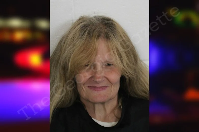Lori Salmon — Floyd County Jail Bookings