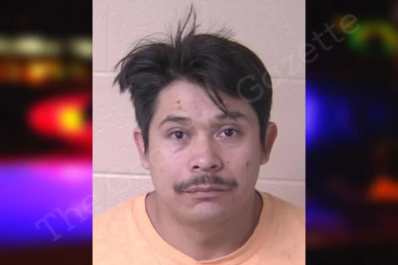 Julio Sanchez — Walker County Jail Bookings