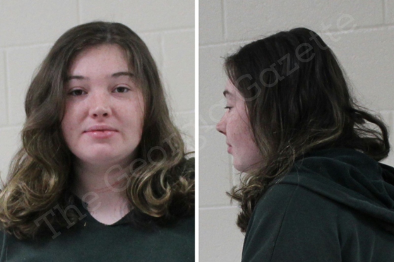 Jordan Scarborough — Houston County Jail Bookings