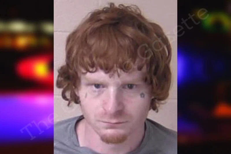 Brian Shirley — Walker County Jail Bookings