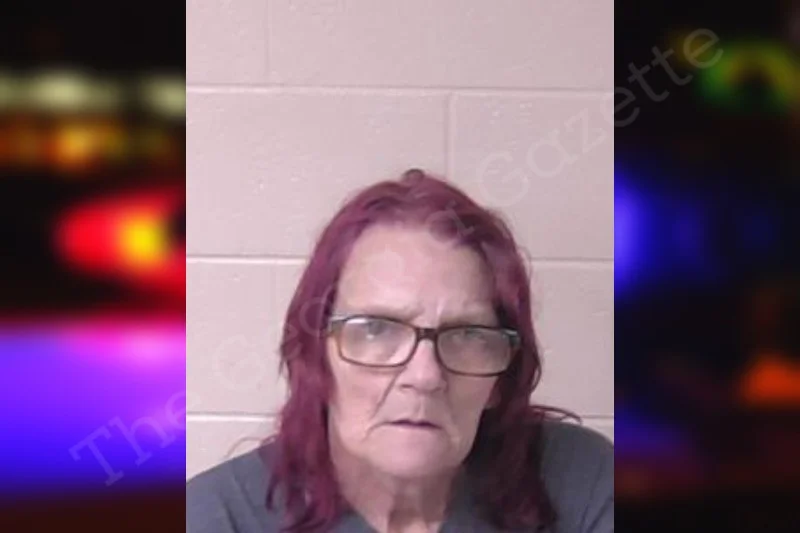 Evonne Shirley — Walker County Jail Bookings