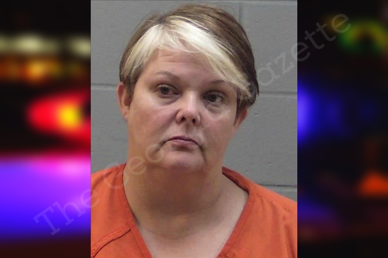 Robin Simmons — Madison County Jail Bookings