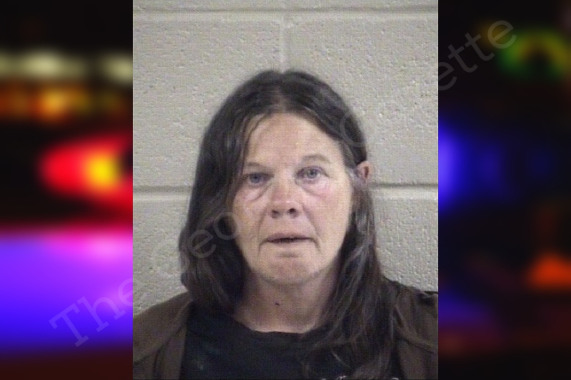 Sherry Snelling — Whitfield County Jail Bookings