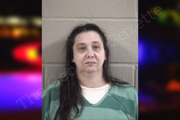 Whitfield County Jail Bookings – The Georgia Gazette