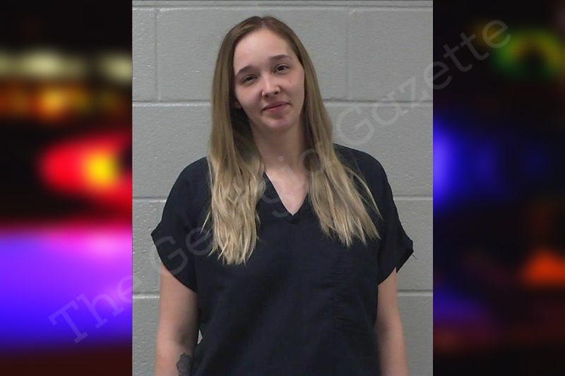 Jesse Stokes — Gilmer County Jail Bookings