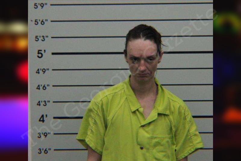 Cheree Swanson — Turner County Jail Bookings