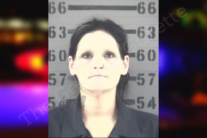 Maranda Swearingen — Dougherty County Jail Bookings