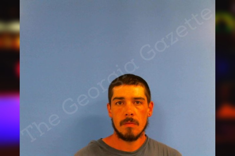 Justin Timmons — Troup County Jail Bookings