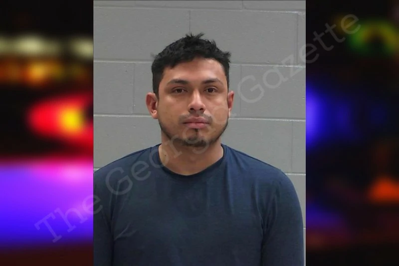 Alexis Vargas — Baldwin County Jail Bookings