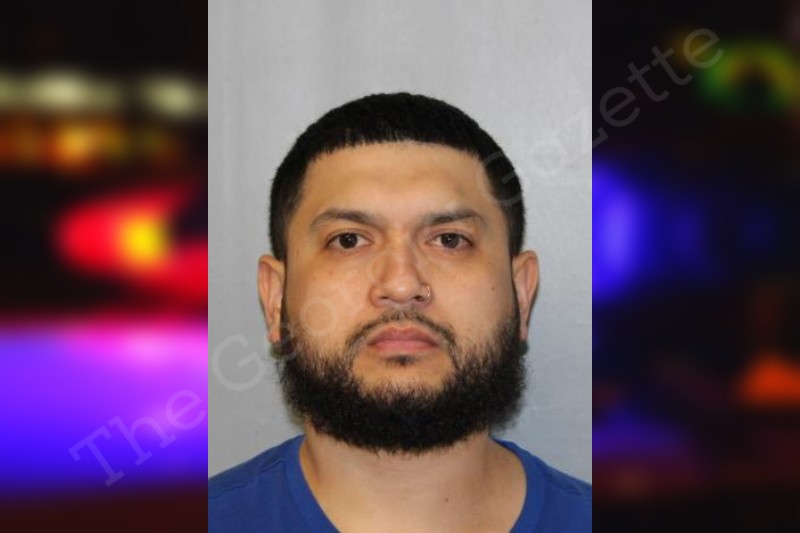 Jesus Verdin Sifuentes — Hall County Jail Bookings