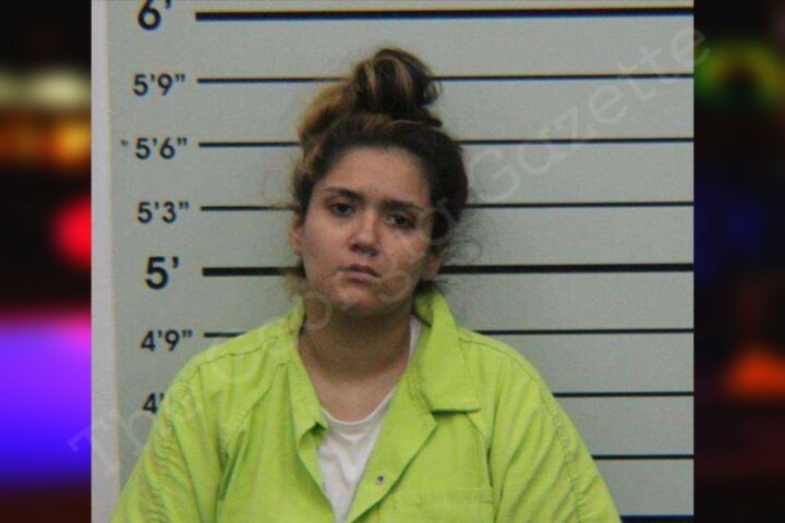 Emily Vazquez — Turner County Jail Bookings