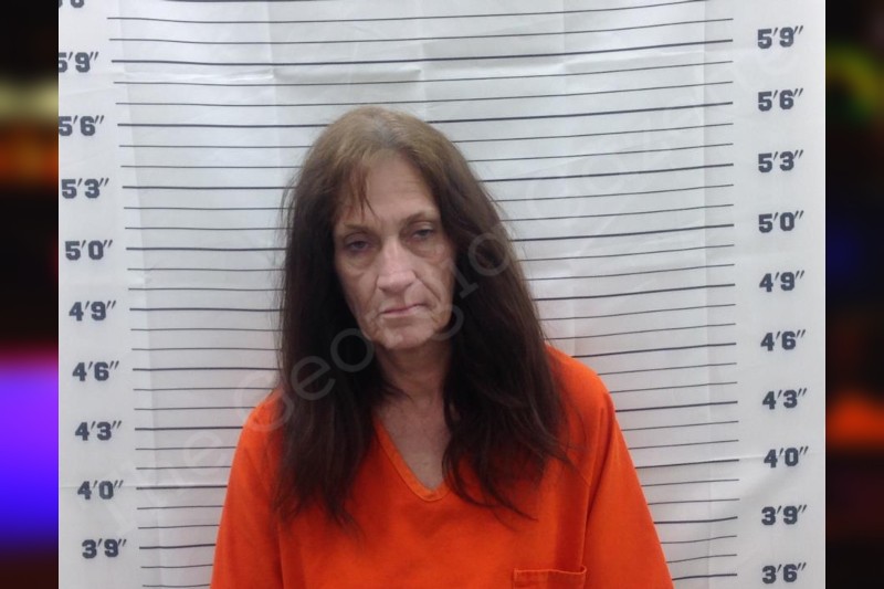 Wanda Beavers — Pickens County Jail Bookings