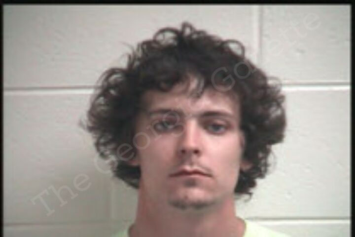 Logan Wall — Henry County Jail Bookings